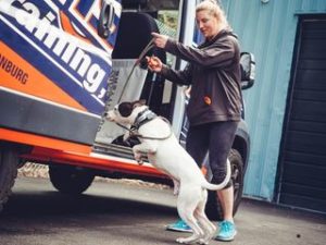 Off Leash K9 Training Austin, TX - Dog Obedience Training